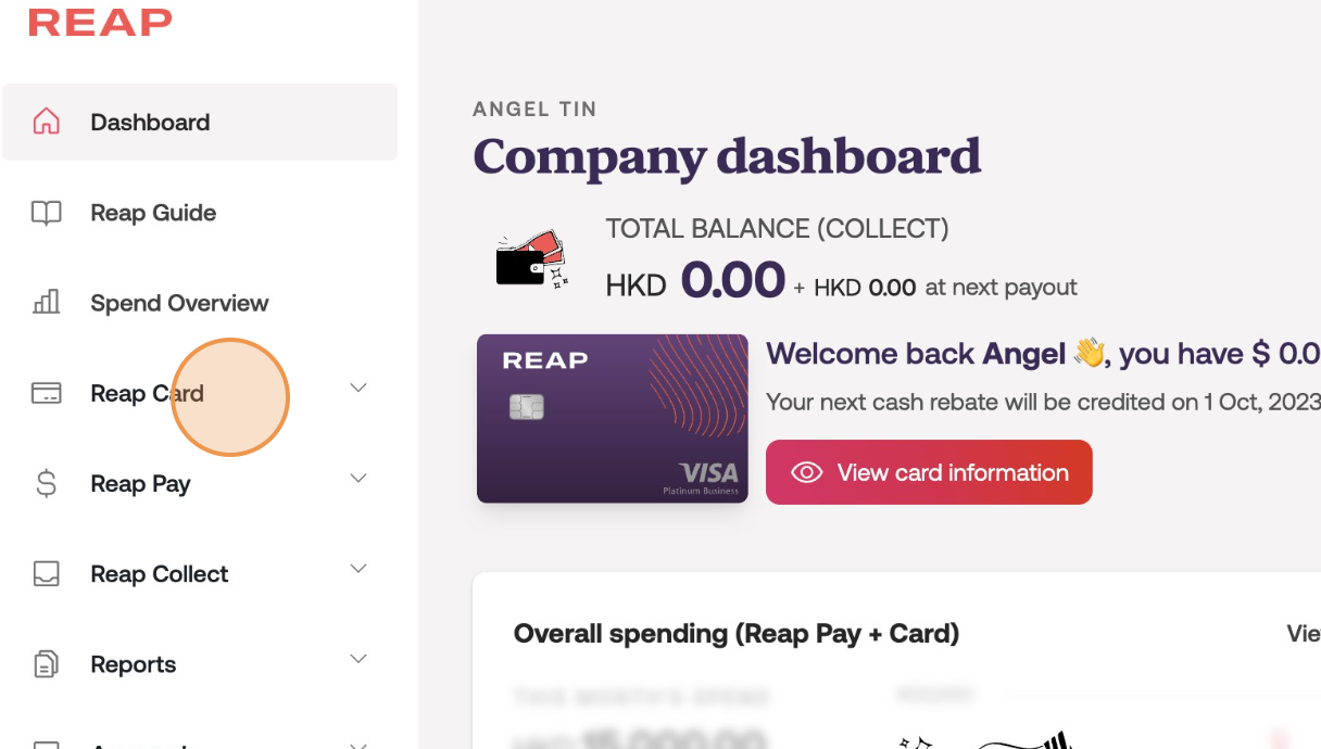 Exporting Deposit details from Reap Card Dashboard – REAP Help Center
